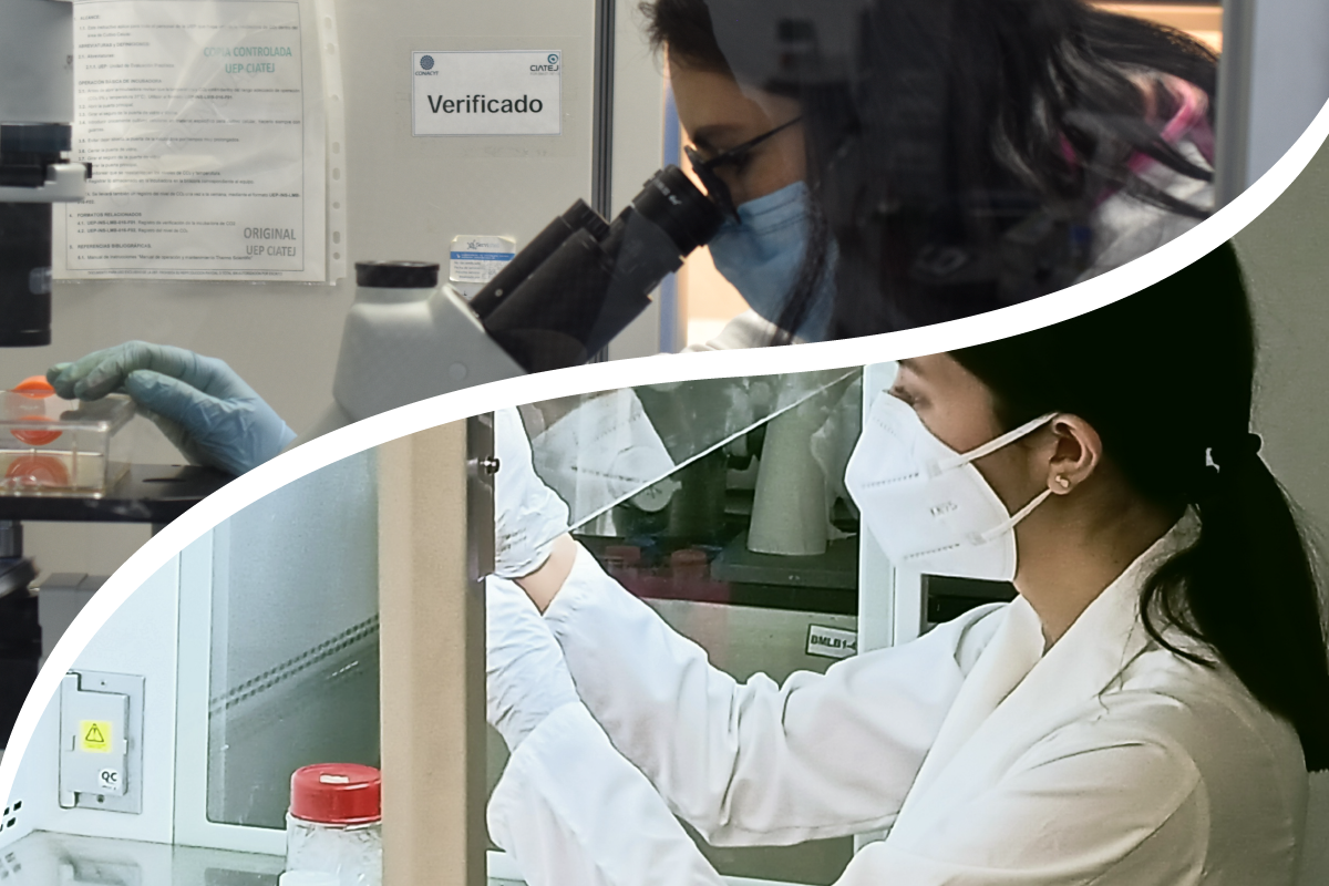 CIATEJ reunirá expertos en Biotecnología Médica y Farmacéutica en ...