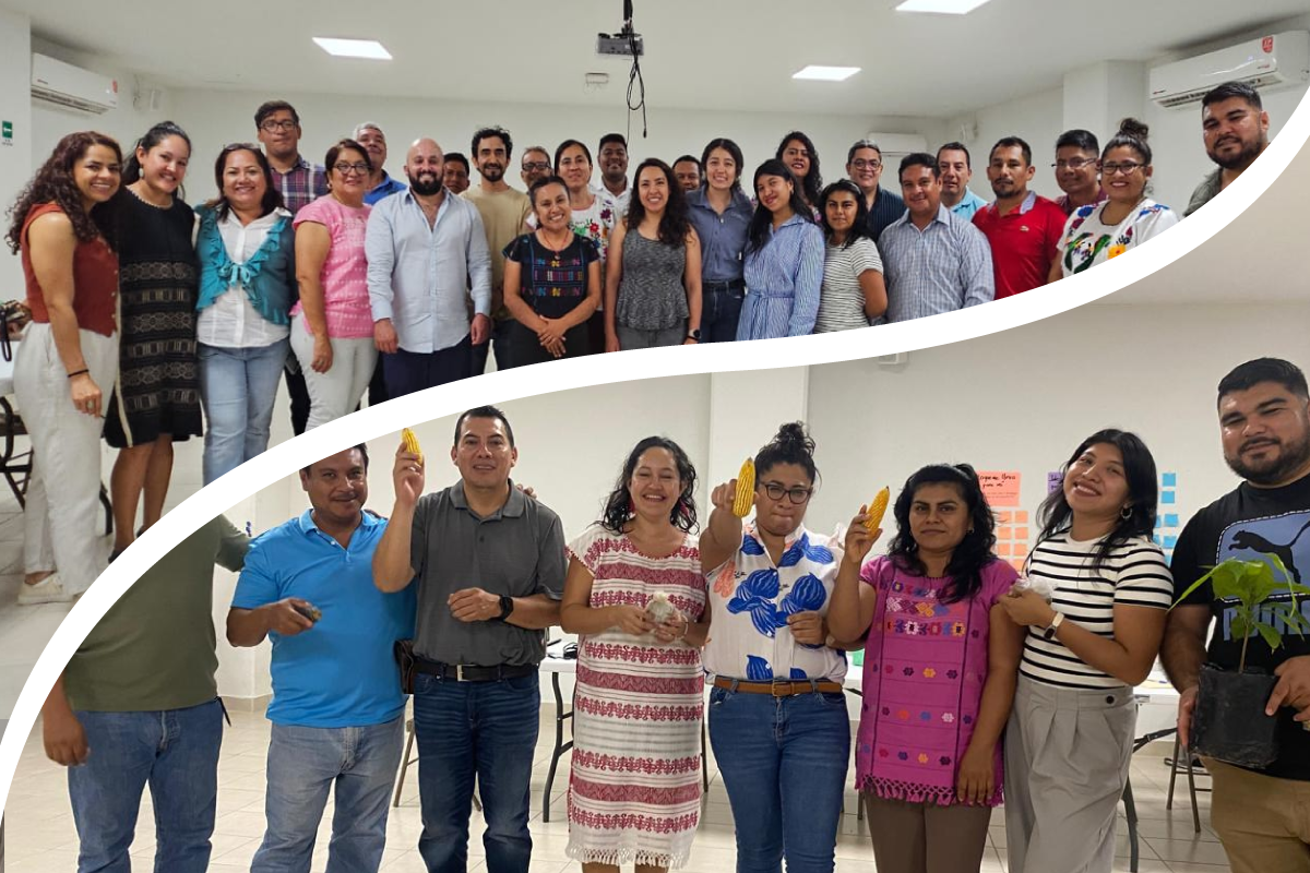 Fortalecimiento de los planes de acción agroecológica en la ENBC-ASA ...